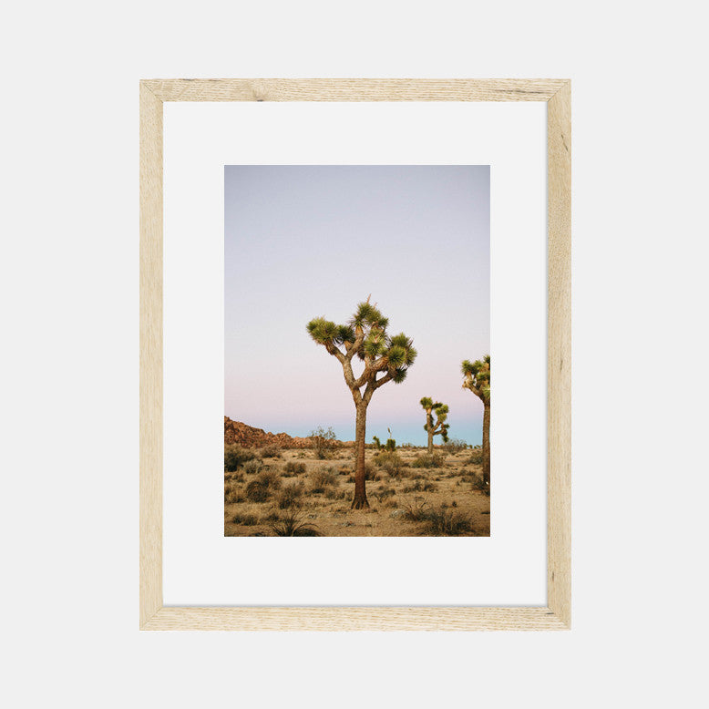 Photographic Print | Joshua Tree – The Bee & The Fox